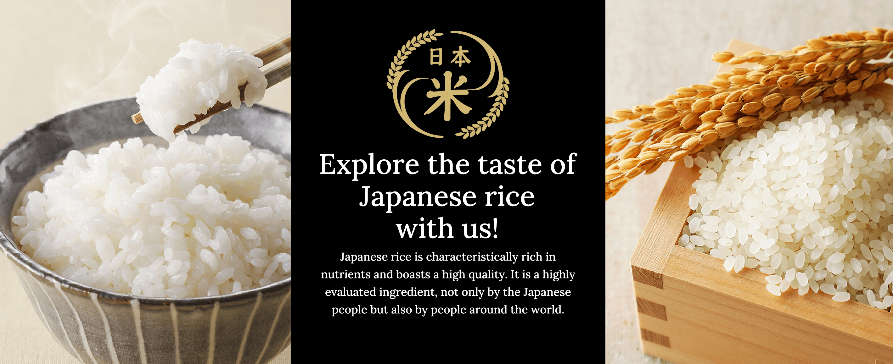 Explore Japanese Rice